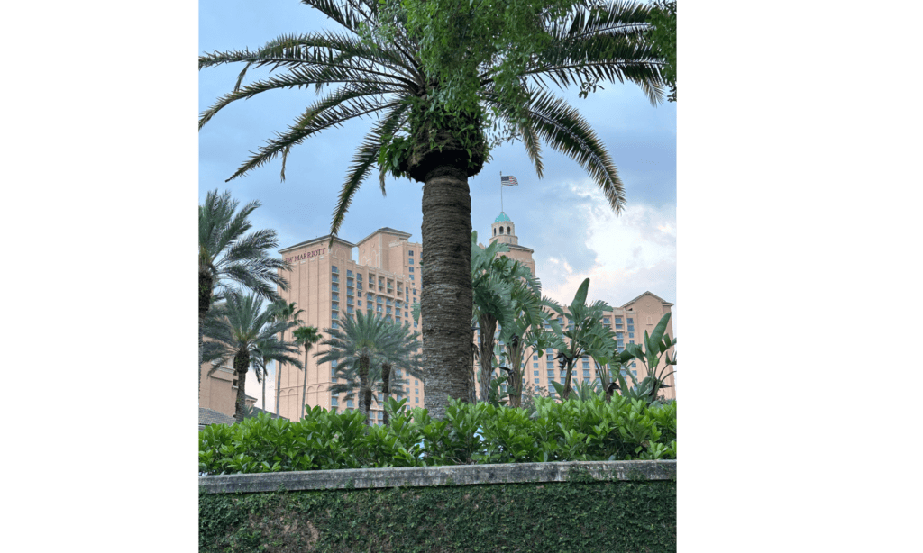 JW Marriott Orlando Grande Lakes Review, 2024 | A Luxury Resort You Don ...